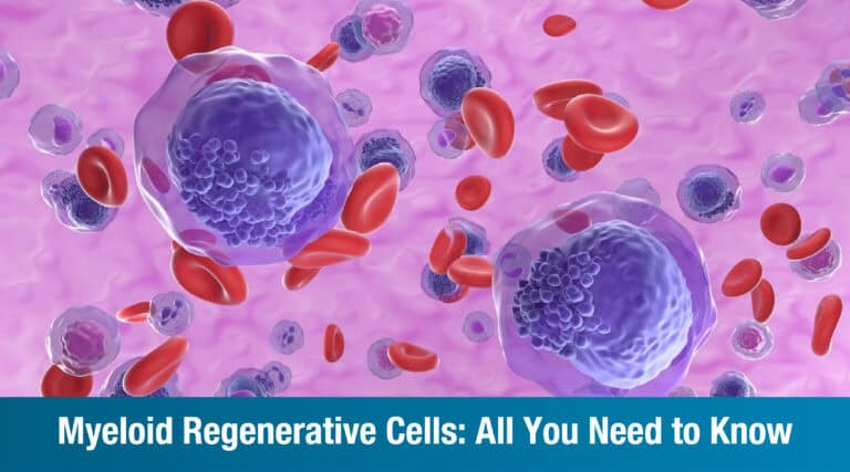 All you need to know about Myeloid Cells | Plexus
